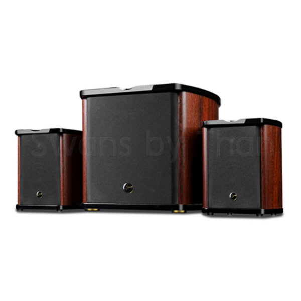 ลำโพง สวอน Swans M50W รุ่นล่าสุด MKIII วัตต์สูงขึ้น มี DSP มี Bluetooth ...